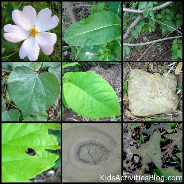 square shape in nature