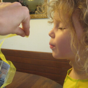 Fun with a fan Kids Activities Blog