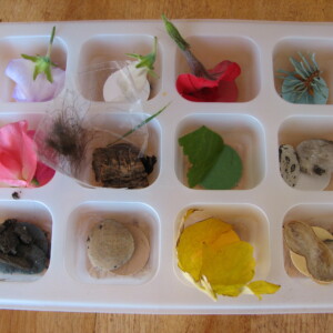 Preschool Nature Activity: Matching and Sorting Kids Activities Blog