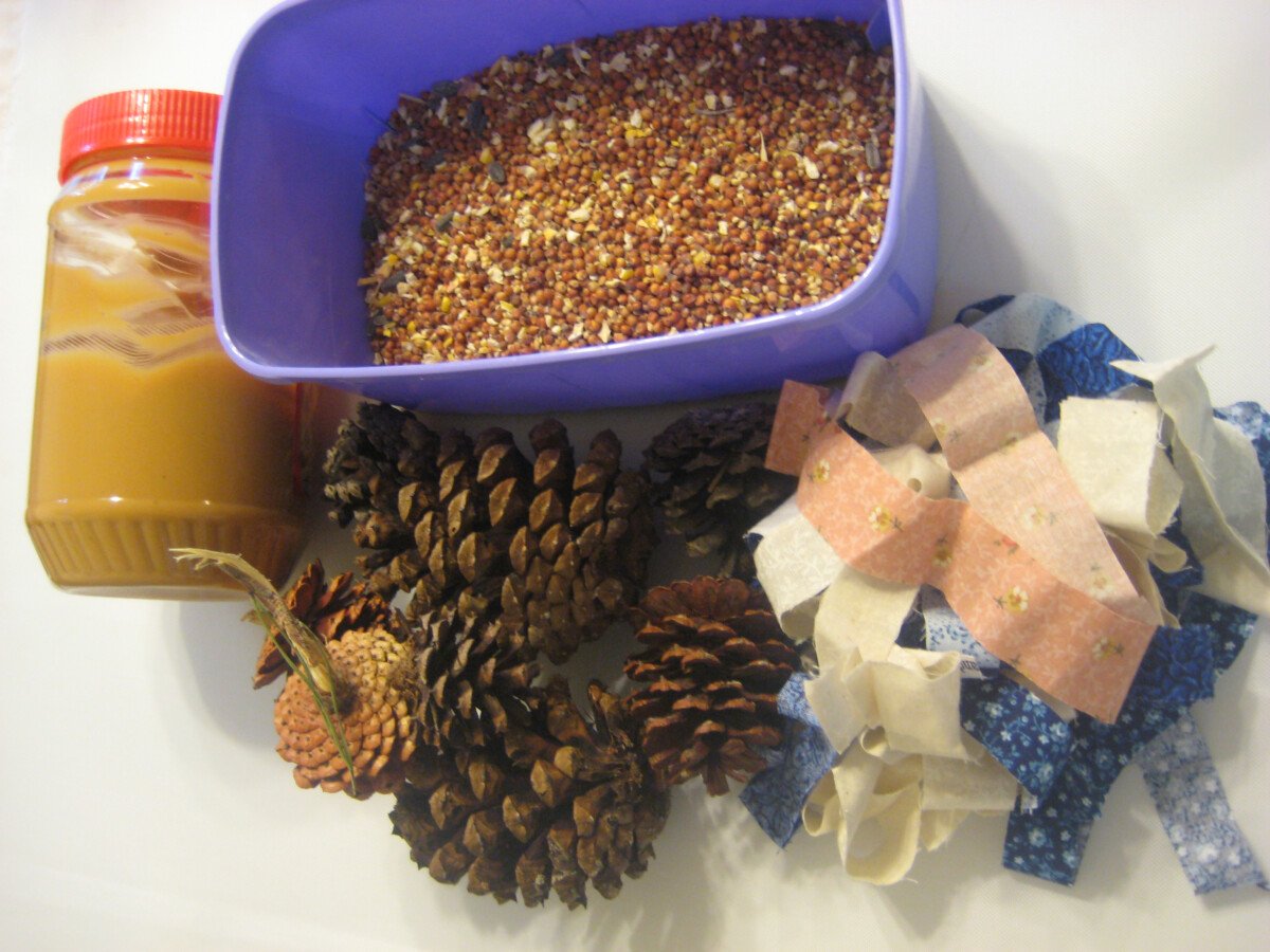 Pine Cone Bird Feeder Craft Kids Activities Blog