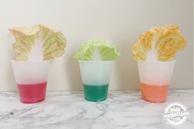 Got Leftover Egg Dye? Try These Colorful Activities! | Kids Activities Blog