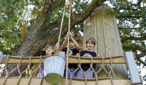 extreme tree house Kids Activities Blog