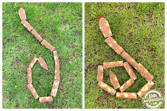 Easy Paper Snake Craft Using Empty Toilet Paper Rolls | Kids Activities ...