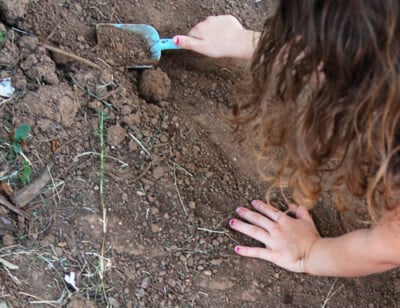 Dirt Soup Photos: Wordless Wednesday Kids Activities Blog