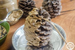 Easy Pine Cone Bird Feeder Craft for Kids | Kids Activities Blog