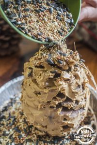 Easy Pine Cone Bird Feeder Craft for Kids | Kids Activities Blog