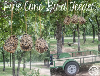 Easy Pine Cone Bird Feeder Craft for Kids | Kids Activities Blog