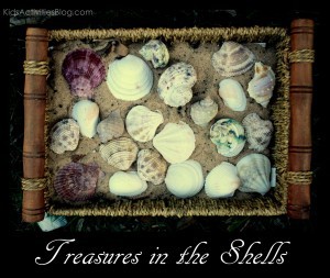Memory Game with Shells Kids Activities Blog