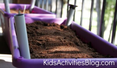 Kid's Container Garden Kids Activities Blog