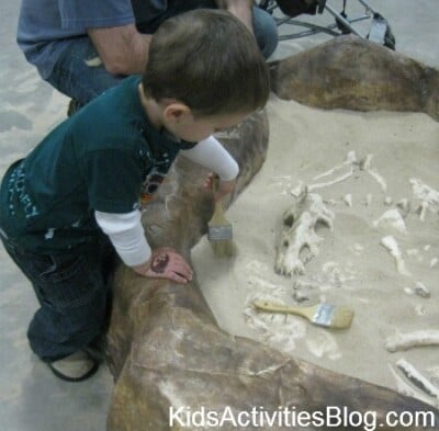 Beach in a Box: Digging for Shells and Dinosaurs Kids Activities Blog