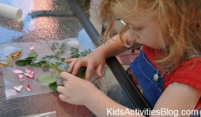 Let's Make an Easy Nature Collage | Kids Activities Blog