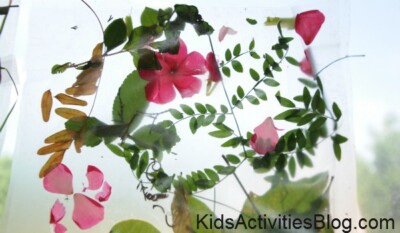 Let's Make an Easy Nature Collage | Kids Activities Blog