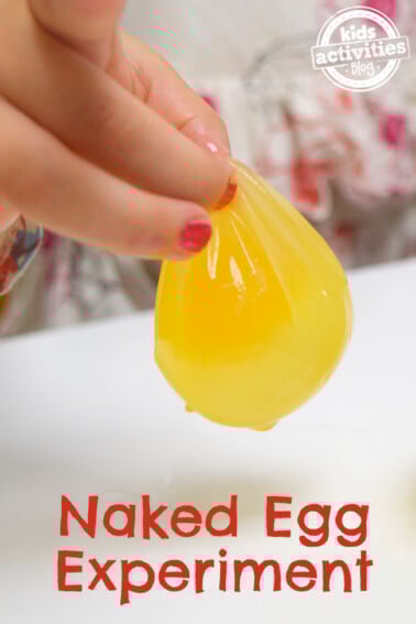 Gross! Egg in Vinegar Science Experiment for Kids | Kids Activities Blog