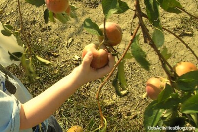 {Fall} Family Outings Strengthen Family Bonding Kids Activities Blog