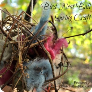 How to Make a Nest Ball for the Birds with Kids | Kids Activities Blog