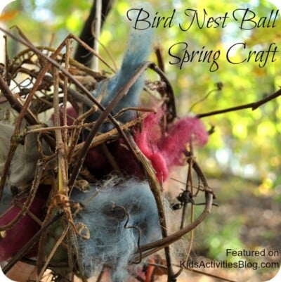How to Make a Nest Ball for the Birds with Kids | Kids Activities Blog