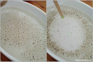 Surface Tension: Experiment with Salt {Science for Kids}