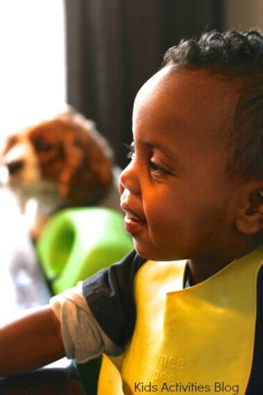 5 Reasons Why Kids Should Have a Pet Kids Activities Blog