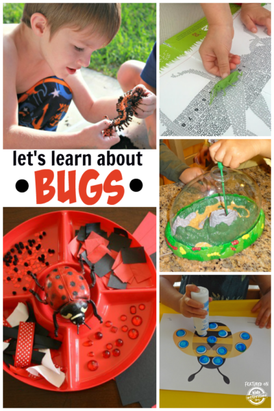 7 {Non-Icky} Ways To Learn About Bugs Kids Activities Blog