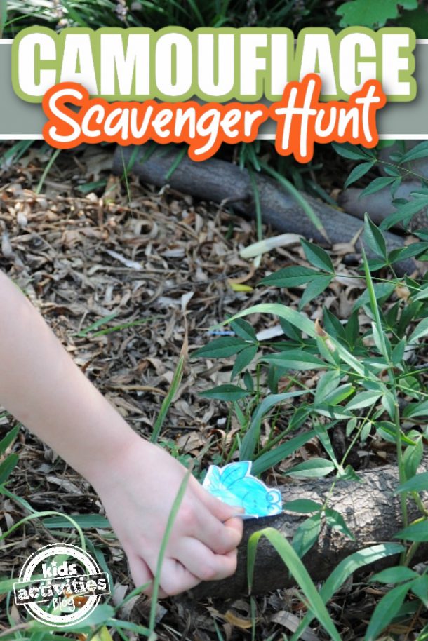 Animal Camouflage Scavenger Hunt w/ Printable | Kids Activities Blog