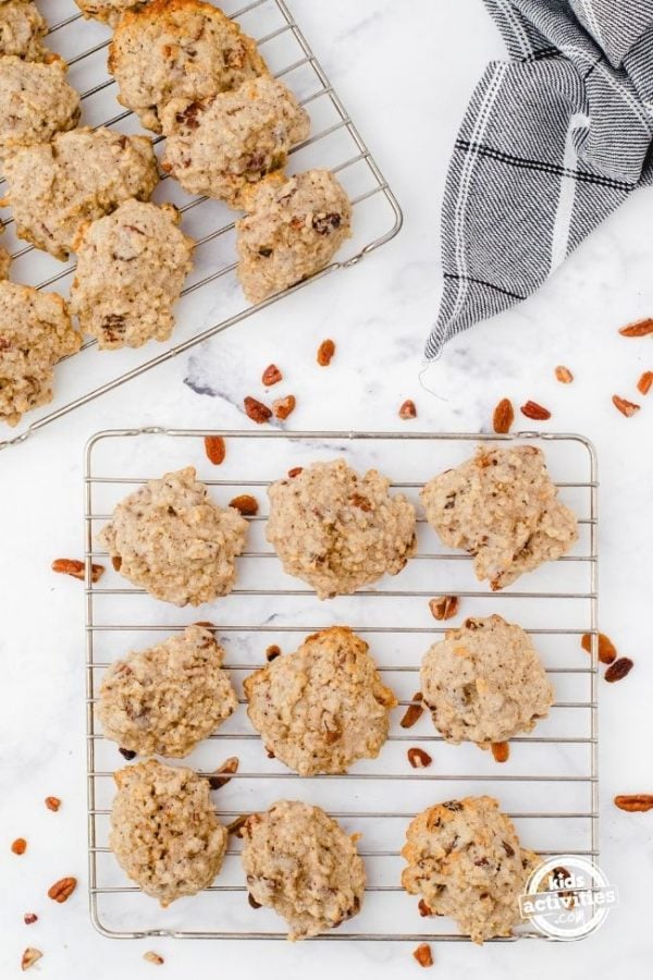 Grandma's Famous Breakfast Cookies Recipe | Kids Activities Blog