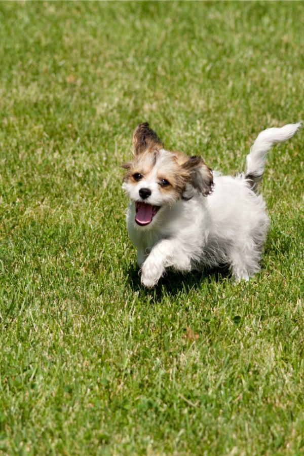 These Tiny Animals Have Big Personalities!
