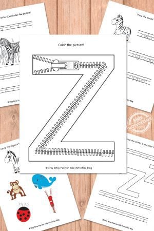 Letter Z Craft- Z Is For Zebra Preschool Craft | Kids Activities Blog