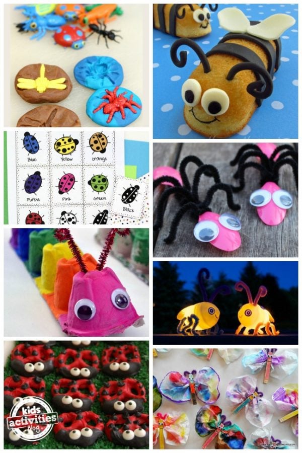 20 Adorable Bug Crafts & Activities for Kids | Kids Activities Blog