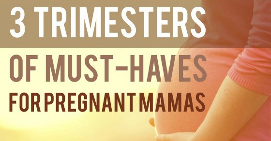 Pregnancy Necessities: 3 Trimesters of Must-Haves for Pregnant Mamas ...