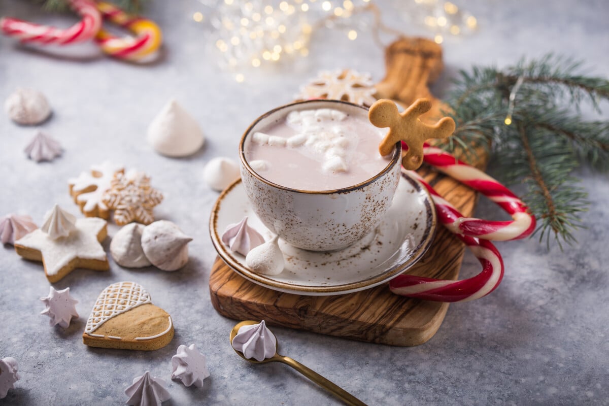 20 Festive and Easy Hot Chocolate Recipes | Kids Activities Blog