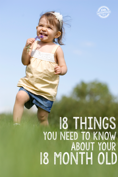 18 Things You Need To Know About Your 18 Month Old Kids Activities Blog