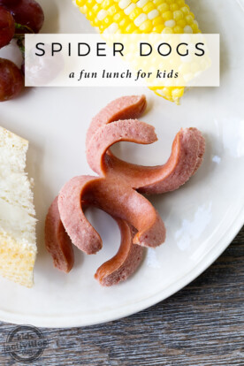 How to Make Cute Spider Dogs Kids Activities Blog