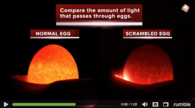 You Can Make Scrambled Eggs without Breaking the Egg Shell! [Video ...