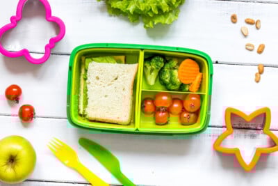 5 Post-Holiday Healthy Back to School Lunch Ideas Kids Activities Blog