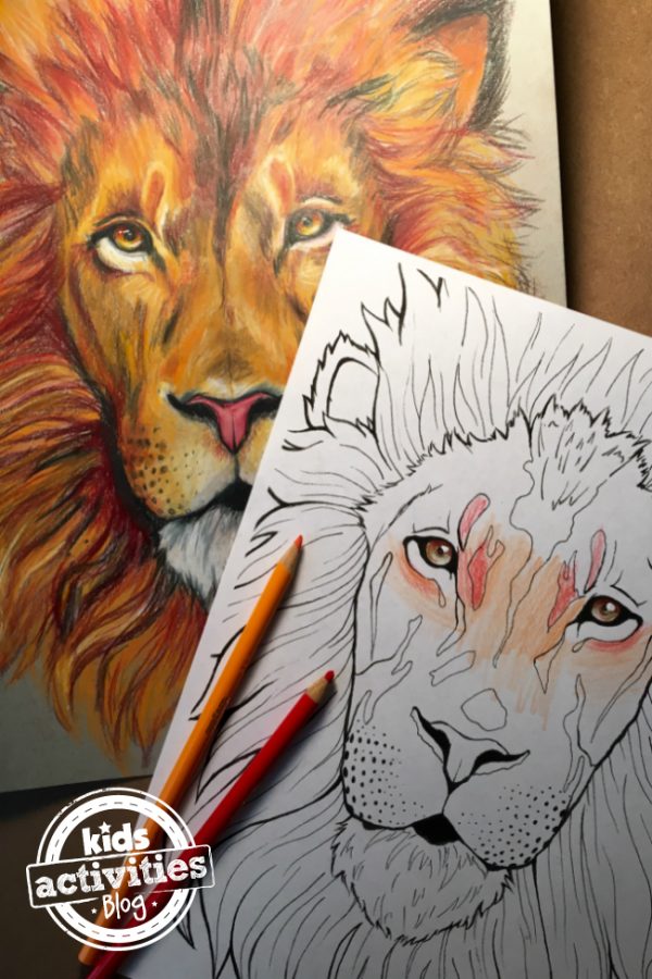 Oh So Many Cool Drawings that You Can Draw Too | Kids Activities Blog