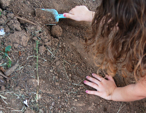 Dirt Soup Photos: Wordless Wednesday Kids Activities Blog