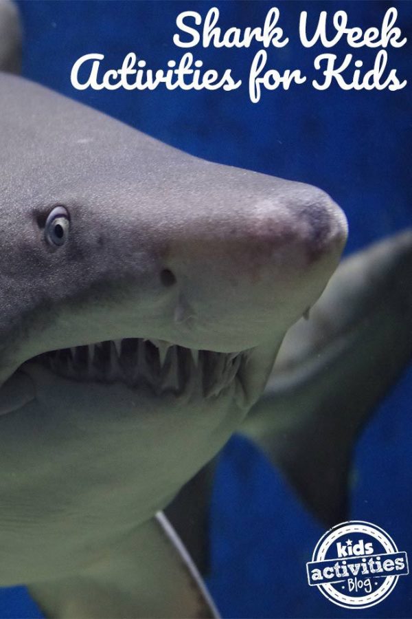 Shark Week Activities for Kids 2021 Edition Kids Activities Blog