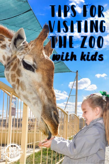 10 Tips for a Fantastic Zoo Trip | Kids Activities Blog