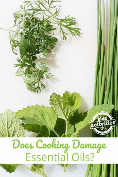 Does Cooking Damage Essential Oils Kids Activities Blog