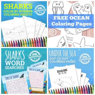 Shark Week Activities for Kids 2021 Edition Kids Activities Blog