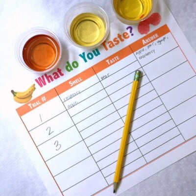 Simple Taste Science Experiment for Kids Kids Activities Blog