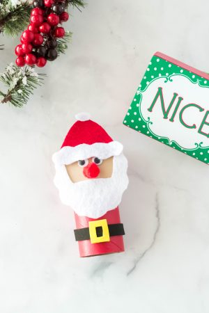 Get Festive And Creative With This Santa Toilet Paper Tube Craft