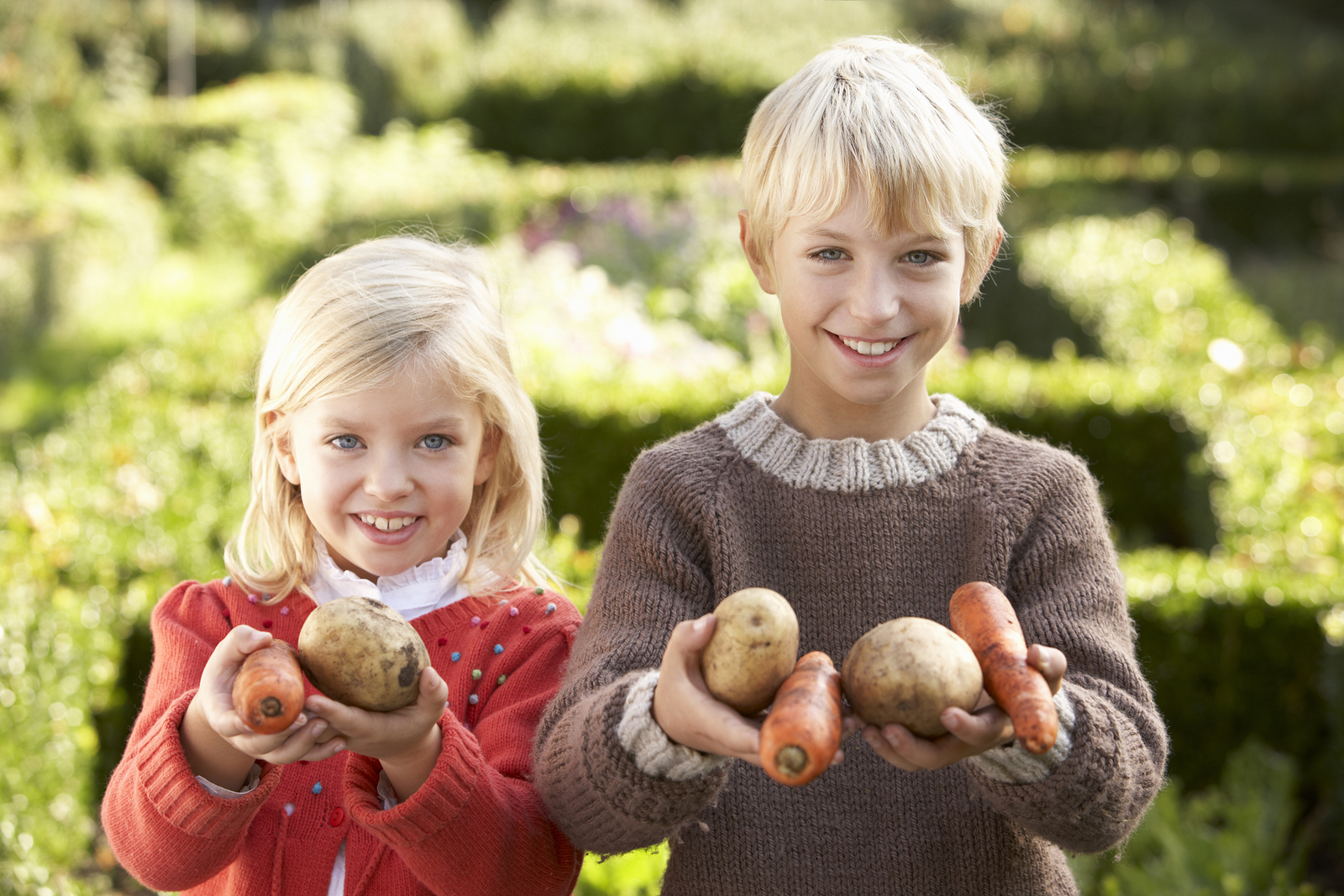 How to Feed Your Family Organic Food on the Cheap