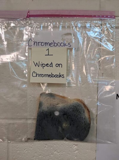 This Teacher's Science Project Proves Why It's Important to Wash Your ...