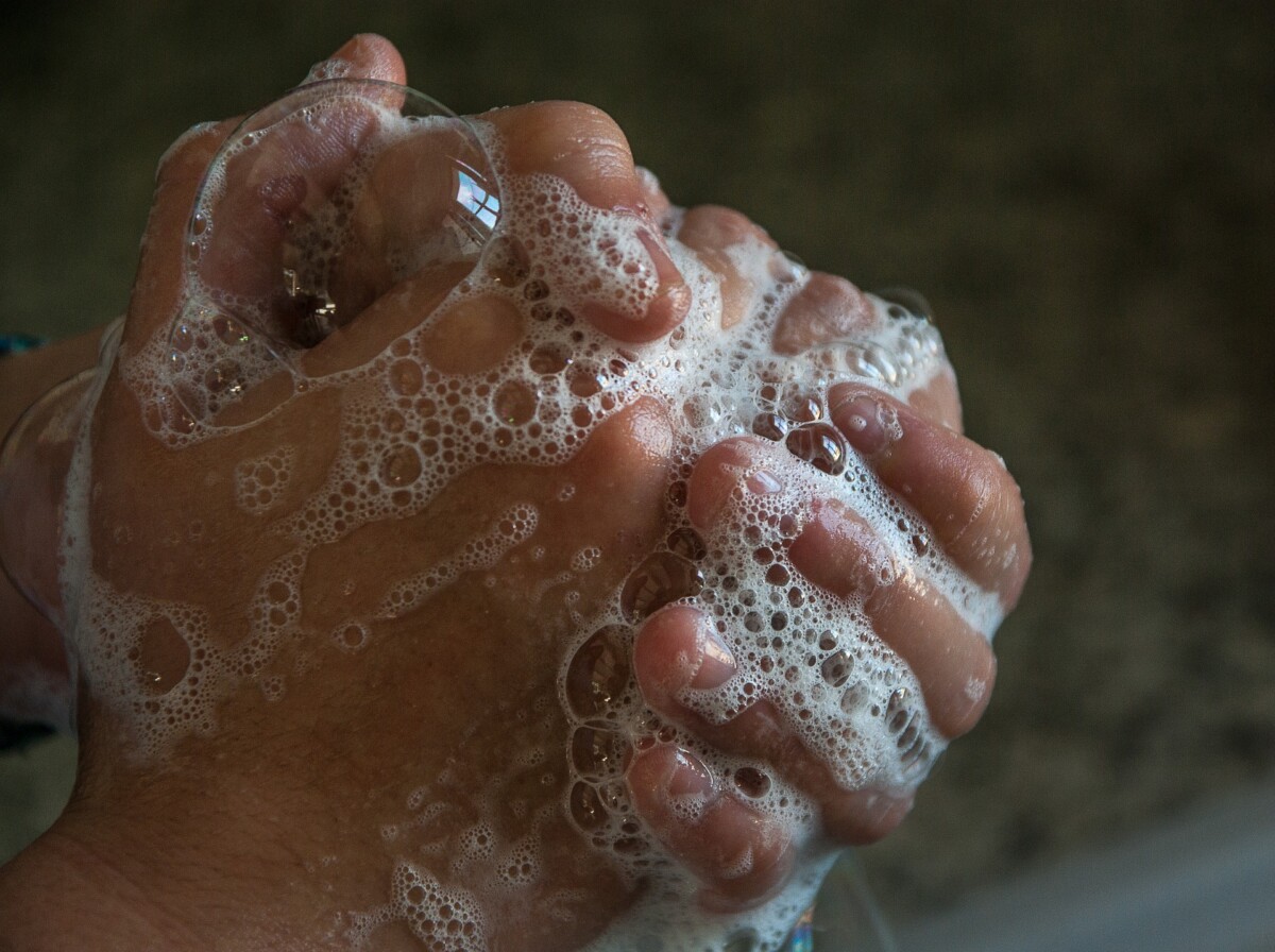 This Teacher's Science Project Proves Why It's Important to Wash Your ...
