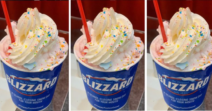 Dairy Queen Released A New Double Fudge Cookie Dough Blizzard and It's ...