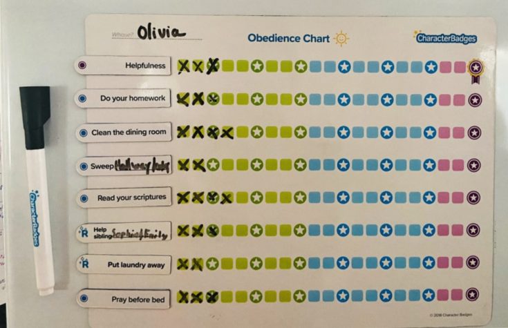 12+ Moms Share Stuck at Home Schedule for School & Play Kids Activities ...