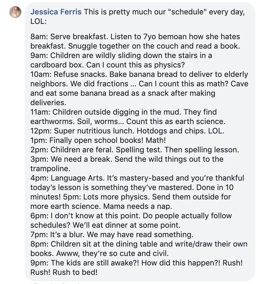 12+ Moms Share Stuck at Home Schedule for School & Play Kids Activities ...