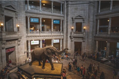 40+ Virtual Field Trips for Kids - Kids Activities Blog