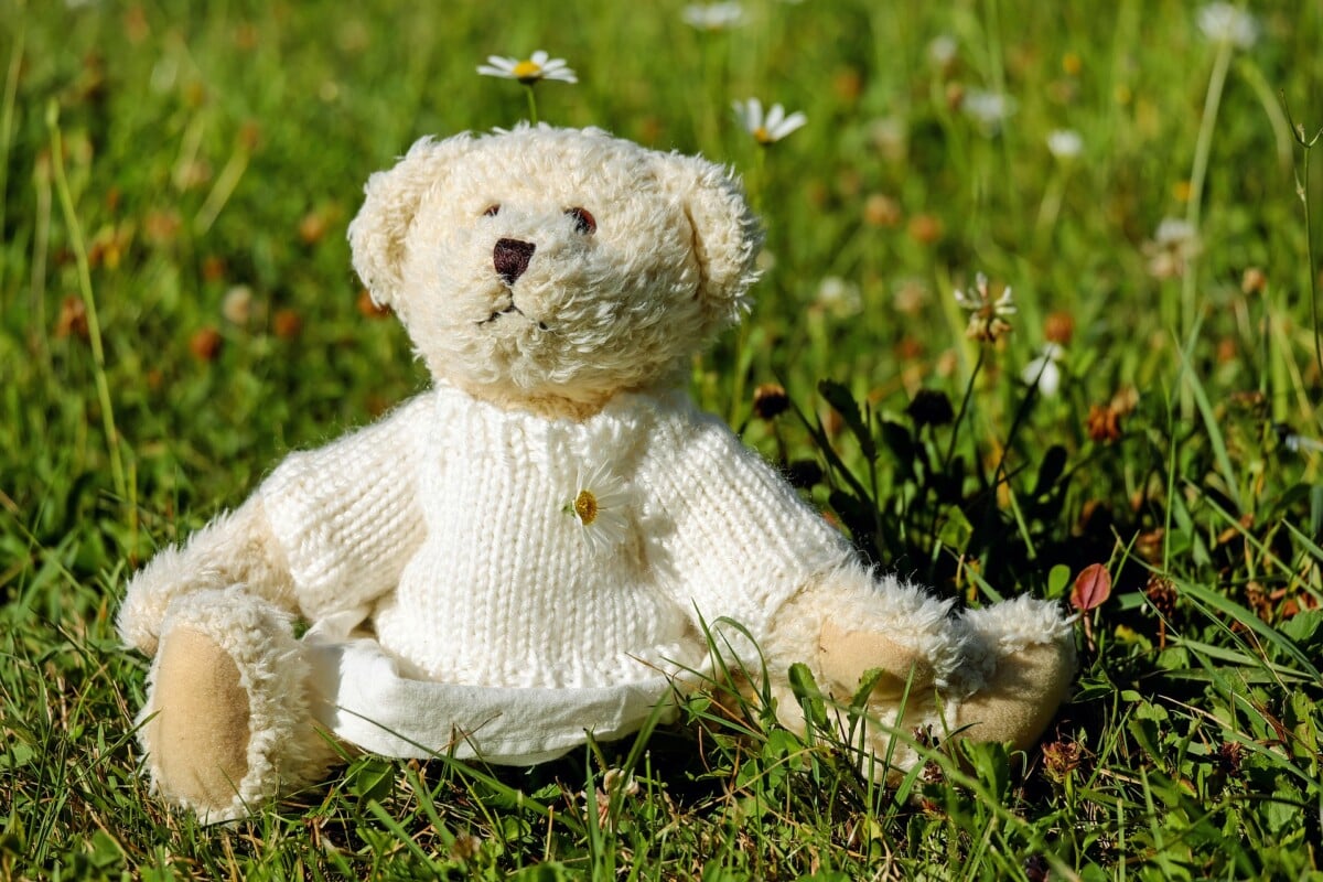 How to Host A No-Contact Bear Scavenger Hunt In Your Neighborhood Kids ...